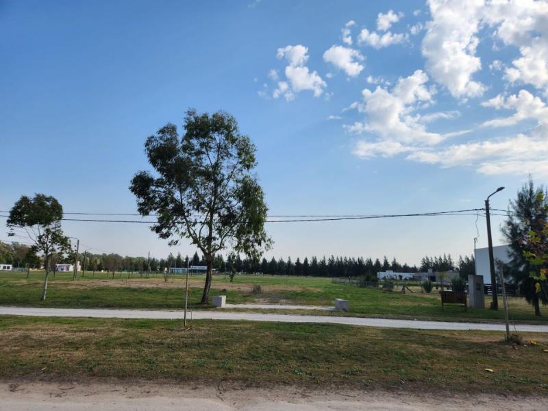 Lote en Venta en Coronel Brandsen sobre calle Ruta 2 Km 65 al 100 ...